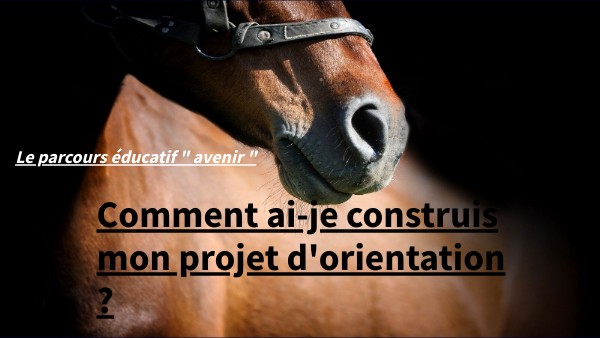 Comment ai-je construit mon projet d'orientation | Genially