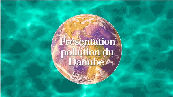 POLLUTION PRESENTATION