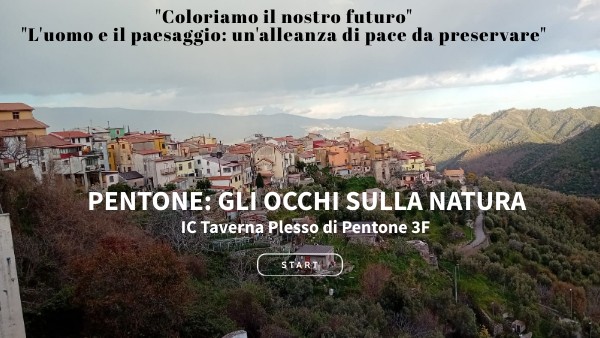 PENTONE E LA SUA NATURA | Genially