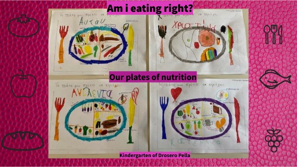 The plate of nutrition