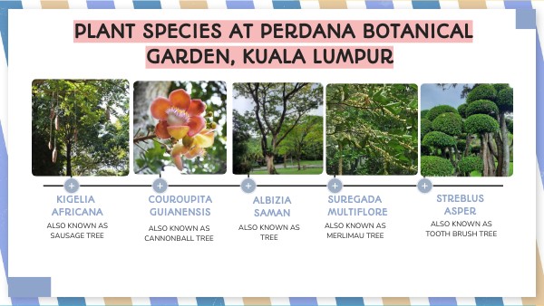SYUKOR_PLANT SPECIES
