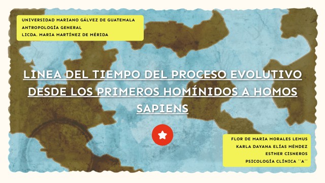 ETAPAS DE EVOLUCIÓN | Genially