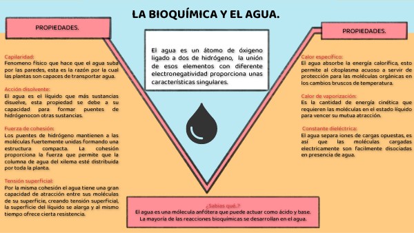 Infografía Martínez Abrica