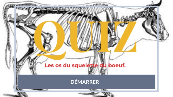 Les os du bœuf suite | Genially