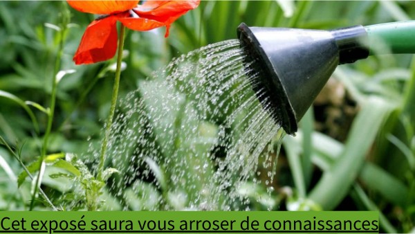 exposé latin thibaud et lucien | Genially