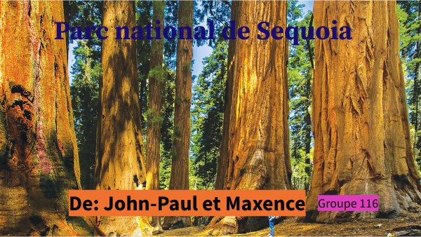Parc National de Sequoia