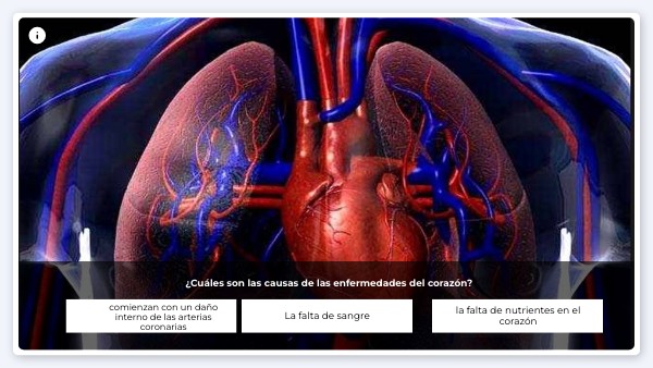 SISTEMA CARDIOVASCULAR | Genially