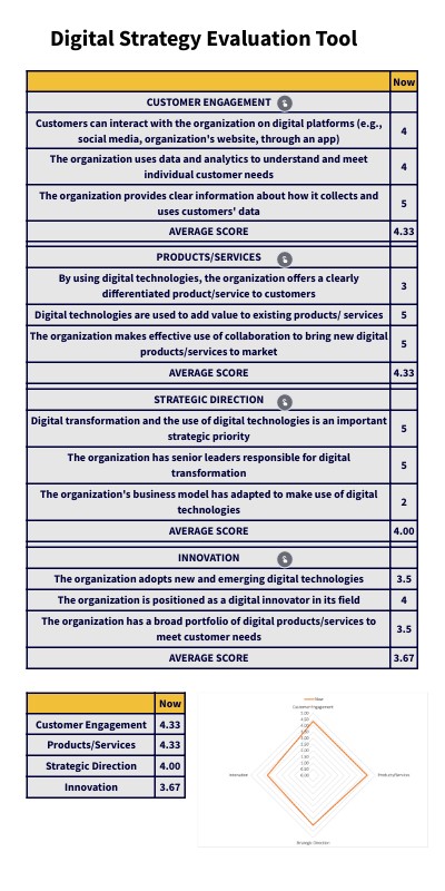 MSIN0051 group project - Digital Strategy Evaluation Tool