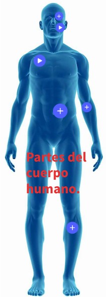 Imagen interactiva-producto de diplomado | Genially