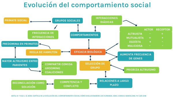 Actividad 2. Evolución del comportamiento social | Genially