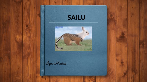 SAILU | Genially