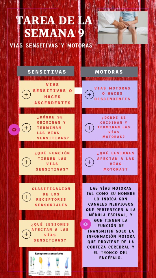 Tarea de la Semana 9 | Genially