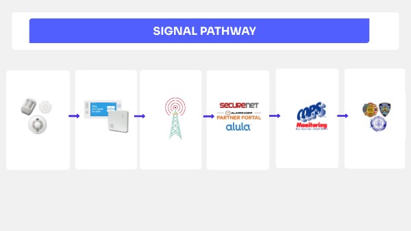 Copy - Signal Pathway