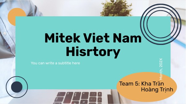 MITEK VN