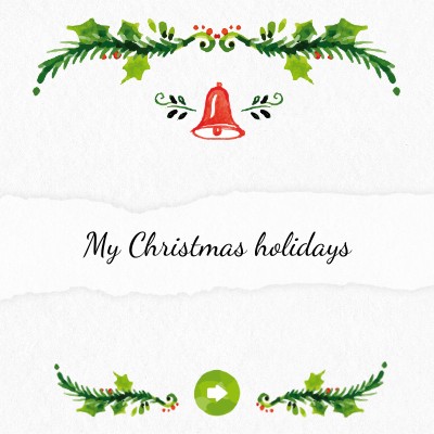 My Christmas holidays