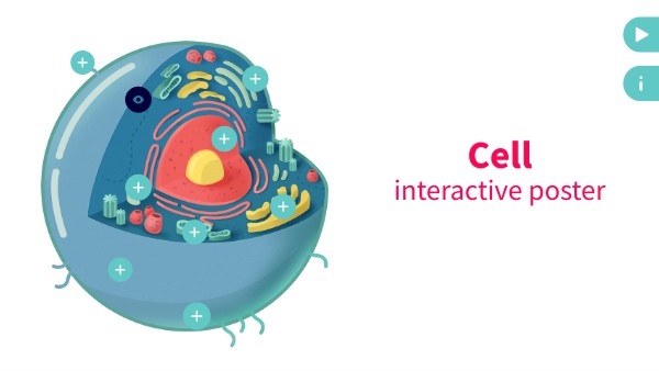 Interactive cell poster | Genially