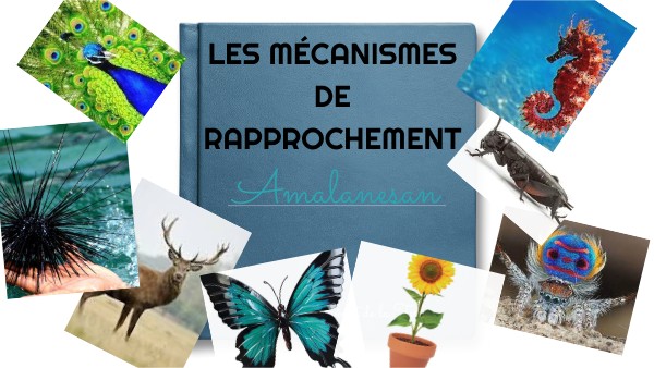 Copie - mécanisme de rapprochement