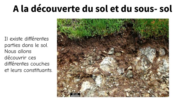 TP sur le sol - Niveau 6ème | Genially