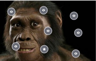 Imagen interactiva Todas las imágenes Australopithecus