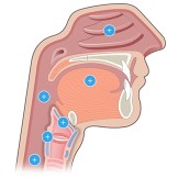 Throat structures