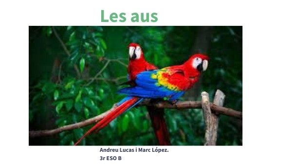 PRESENTACIÓ DE LES AUS