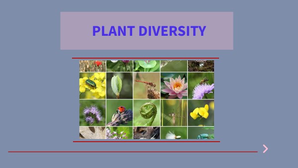 PLANT DIVERSITY