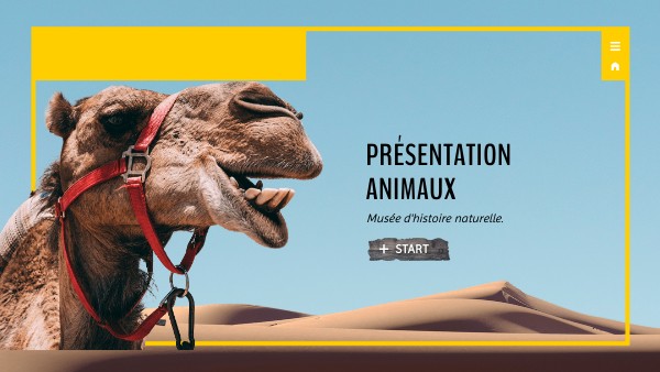 ANIMALS PRESENTATION | Genially