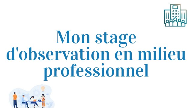 Stage d'observation en milieu professionnel