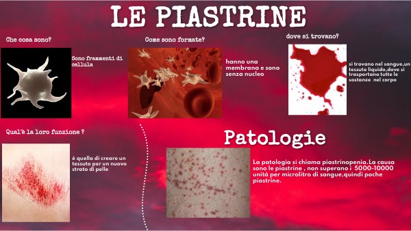 le piastrine infografica | Genially