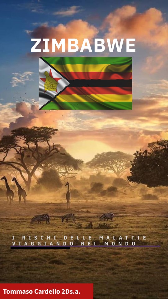 Compito di realtà scienze