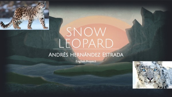 Snow Leopard | Genially