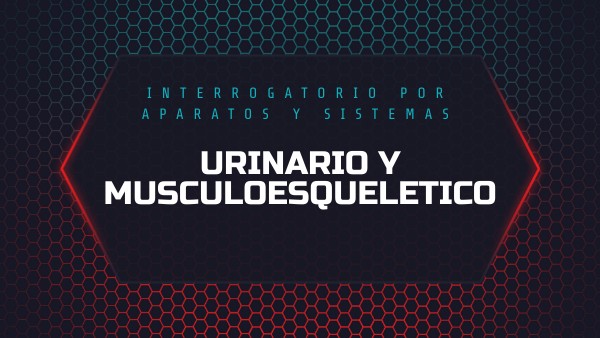Interrogatorio por aparatos y sistemas de los aparatos renales y múscu | Genially