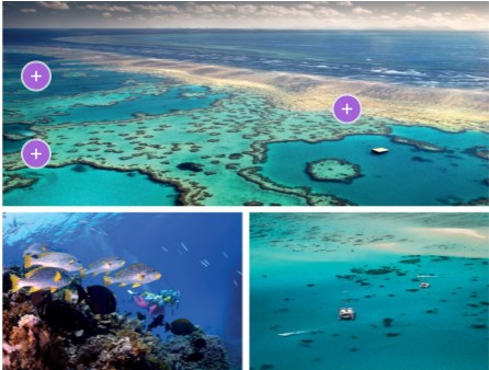 The Great Barrier Reef | Genially