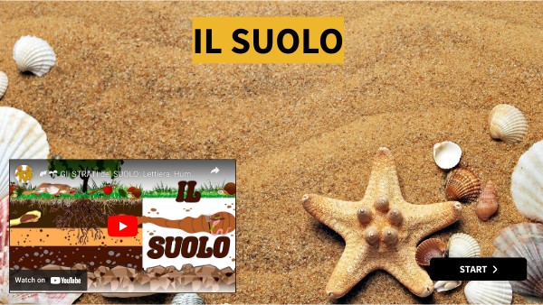 il suolo