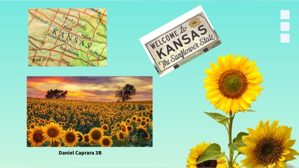 BASIC SHAPES DOSSIER | Genially