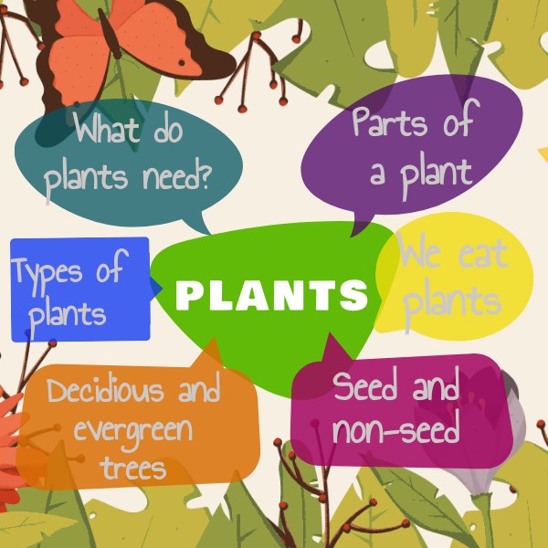 Plants for first grade