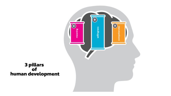 3 pillars of human development