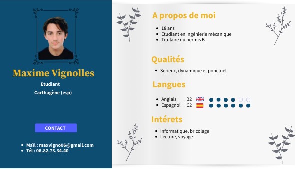 CV Maxime | Genially