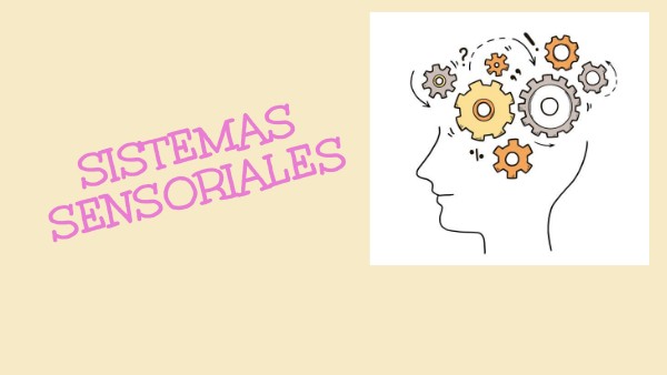 PRESENTACIÓN SISTEMAS SENSORIALES | Genially