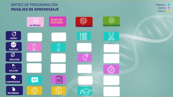 MATRIZ DE PROGRAMACI