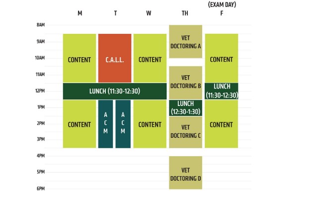 Endo - Week 8 | Genially