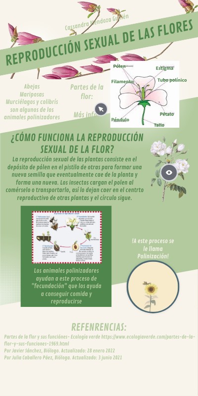 Reproducción sexual de las flores | Genially