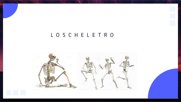 presentazione scheletro