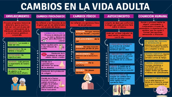 MAPA CONCEPTUAL CAMBIOS EN LA ADULTEZ | Genially