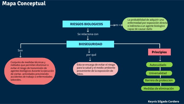 MAPA CONCEPTUAL RIESGOS BIOLOGICOS Y BIOSEGURIDAD | Genially
