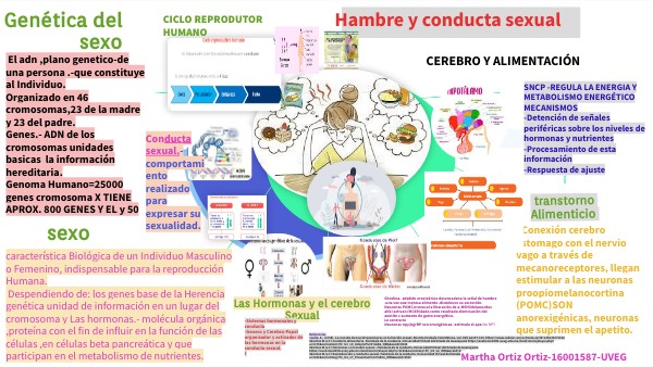 Copia - MAPA MENTAL Adolescencia y cambios fisicos | Genially