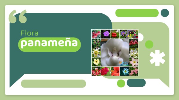 Flora panameña | Genially