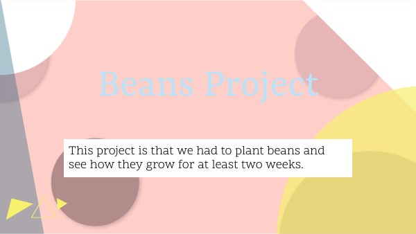BEANS PROJECT
