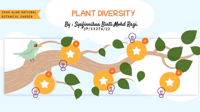 Plant Diversity