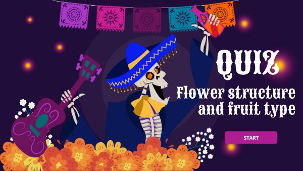 P15-Flower structure and fruit type | Genially